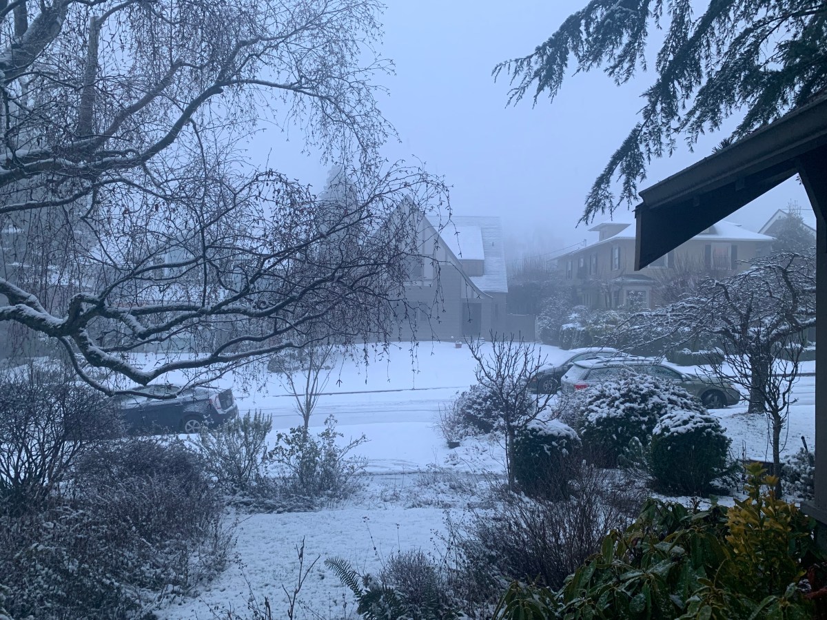Snow! – Lucid Drift Studios