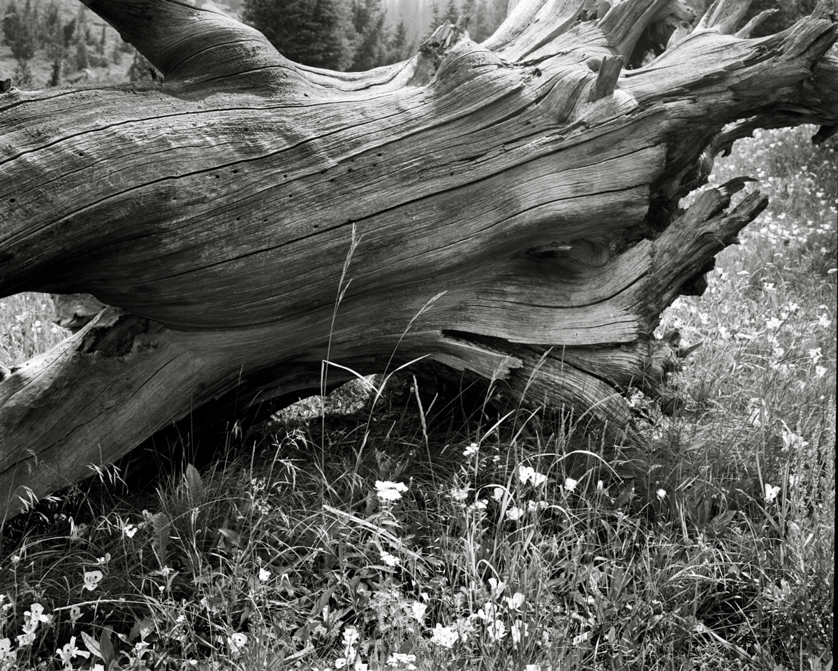 What Once Was – Lucid Drift Studios